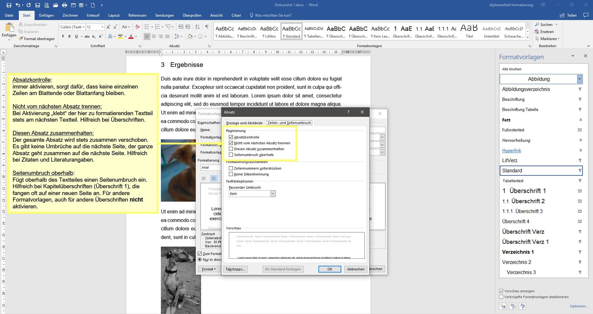 Word - Abbildungen formatieren | layoutheo.de