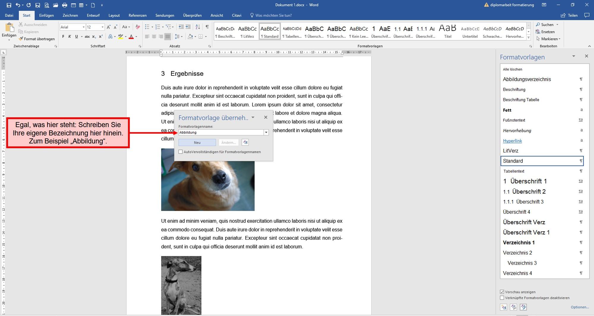 Word - Abbildungen formatieren | layoutheo.de
